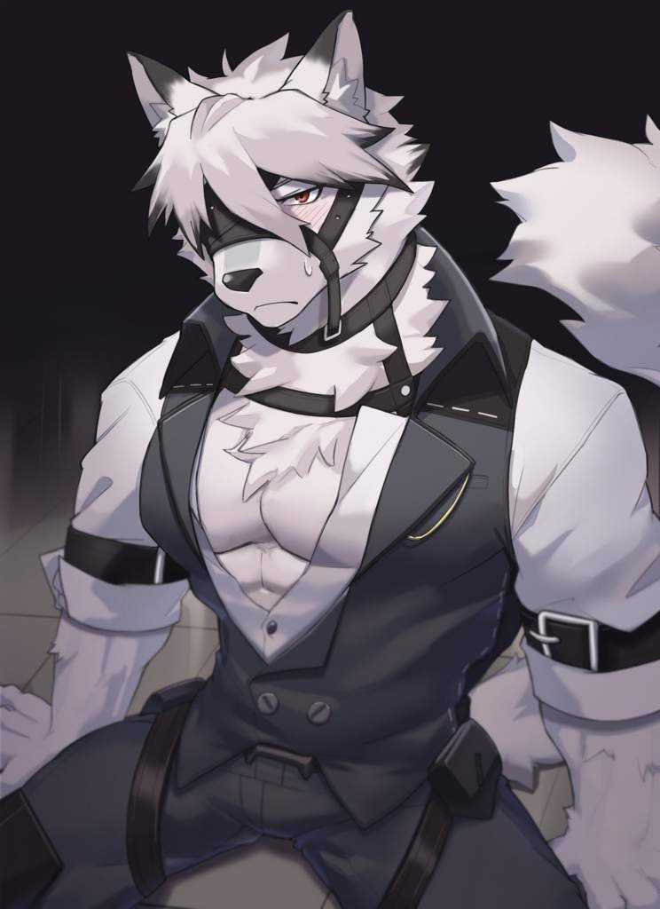 🤍꧁ ︎𝕍𝕠𝕟 𝕃𝕪𝕔𝕒𝕠𝕟 ︎꧂🤍 Furry Yaoi Español Amino Amino