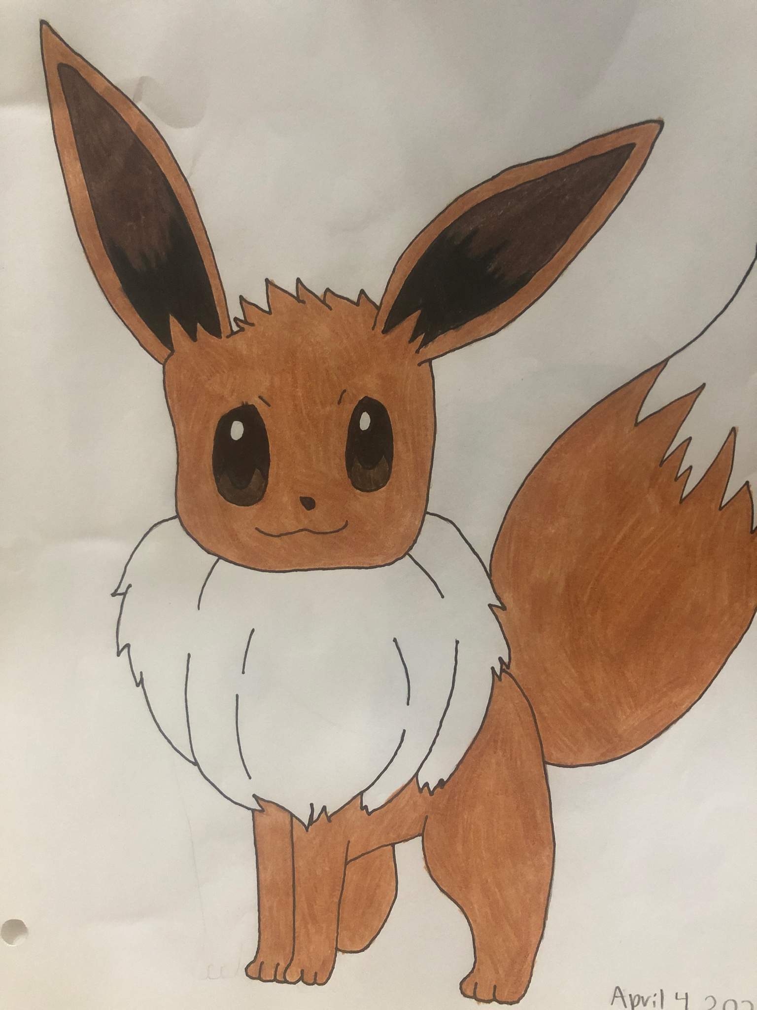 My Eevee Drawing Pokémon Amino