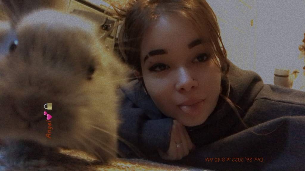 Rabbit Lovers Amino Amino