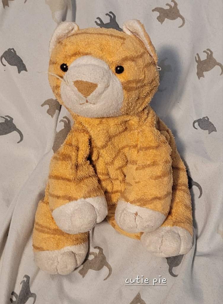 Cutie Pie Wiki Plushies Amino