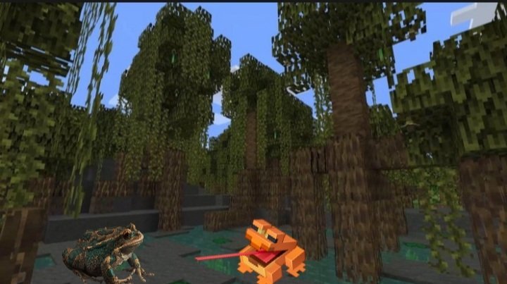 Sapo Encontrar Sapo Minecraft Phoenix Amino