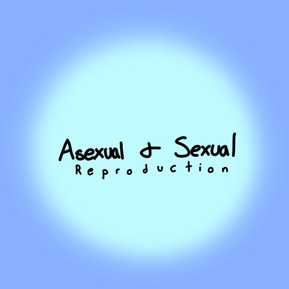My Notes On Asexual And Sexual Reproduction Contains Nsfw Terms