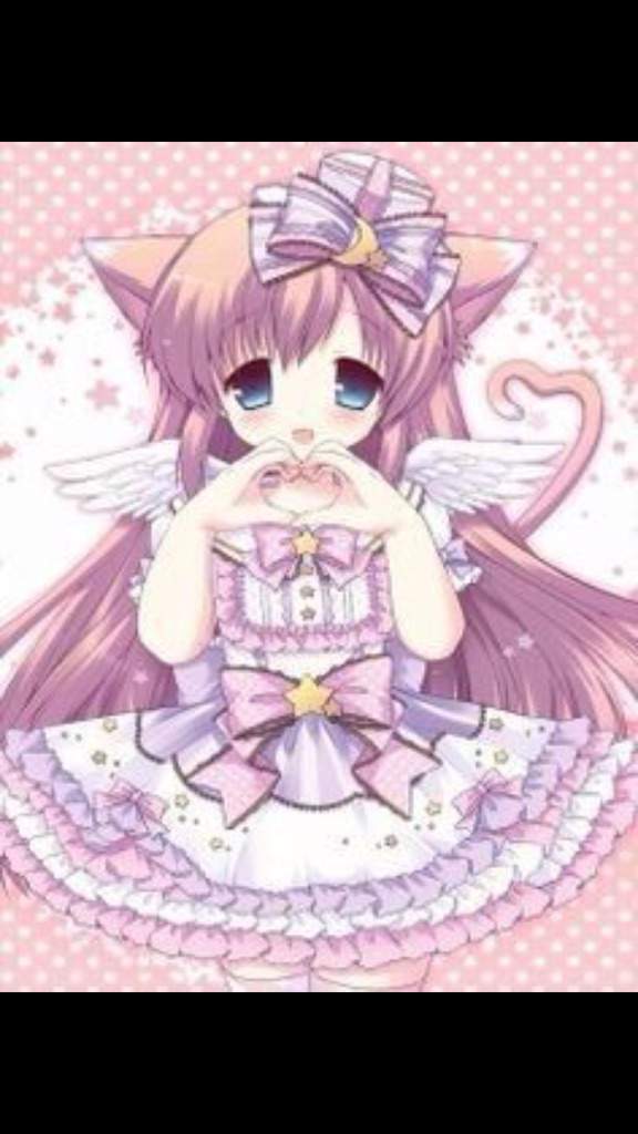 Meow Anime Amino