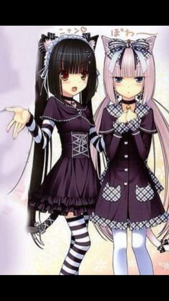 Meow Anime Amino
