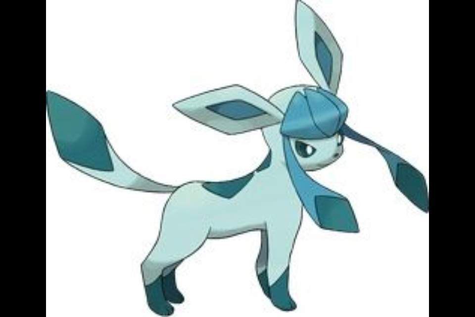 Glaceon Wiki Pokémon Amino
