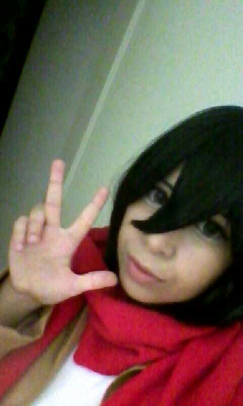 Mikasa Ackerman Wiki Cosplay Amino
