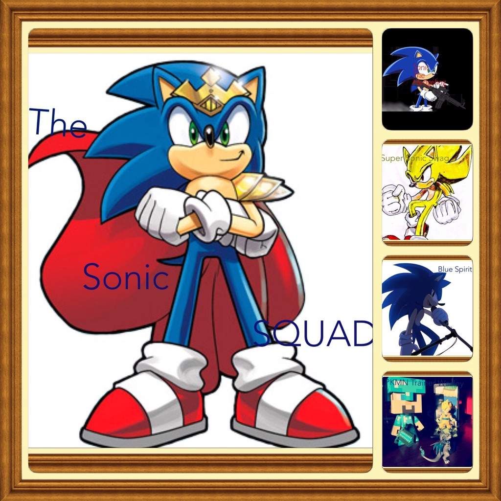 Sonic Squad Pok mon Amino sonic-squad-pok-mon-amino