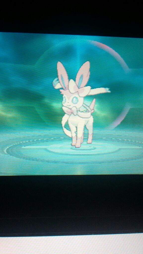 Sylveon Pokémon Amino