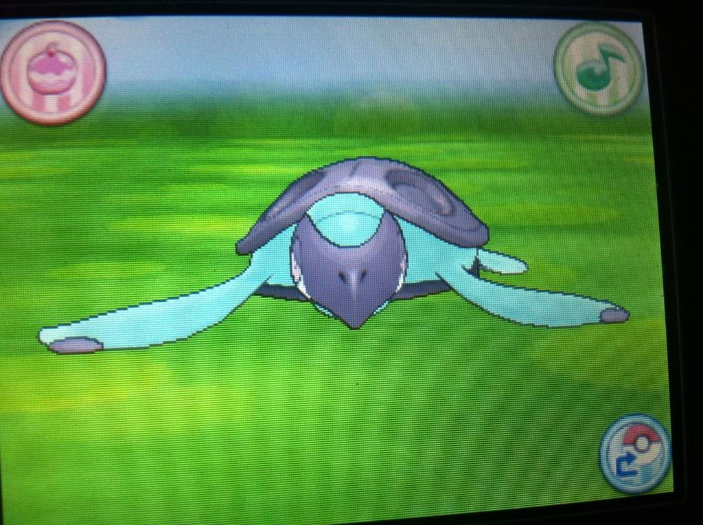 Shiny Tirtouga Pokémon Amino