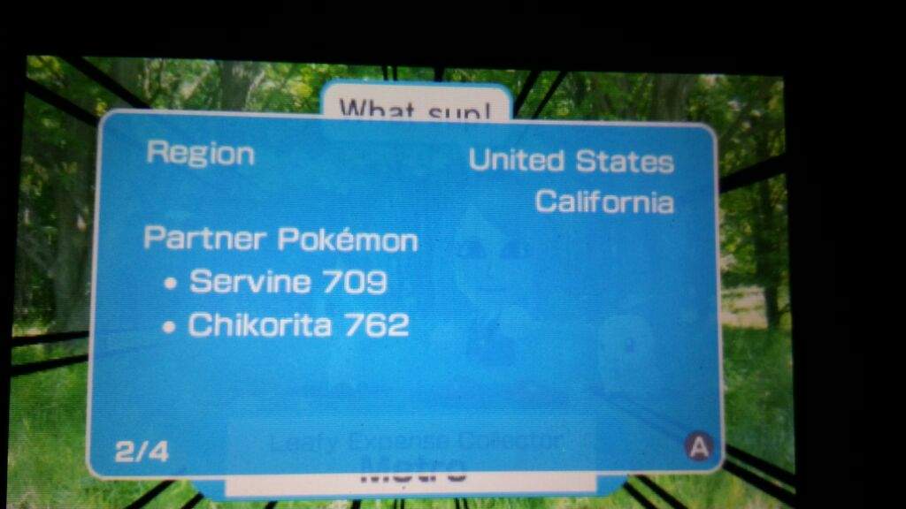 Pokémon Rumble World Mii Profile Pic Pokémon Amino