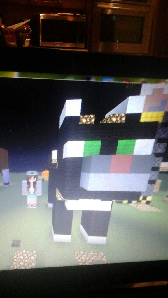 My Tuxedo Cat Minecraft Amino