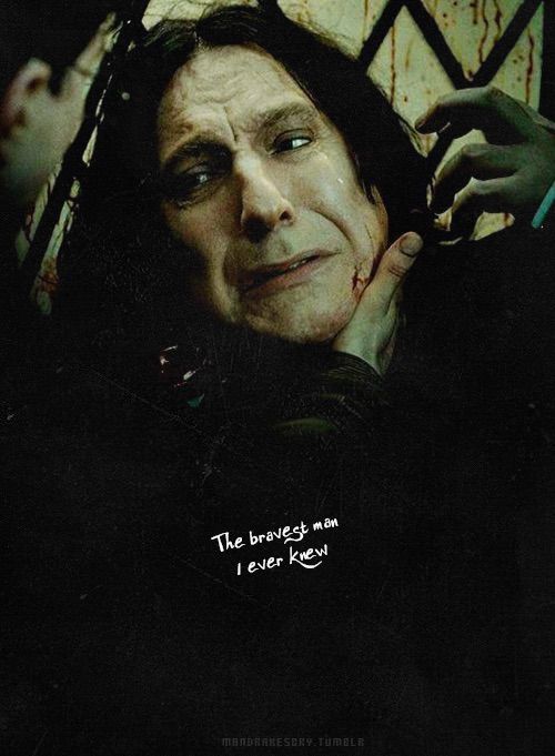 Alan Rickman Aka Severus Snape Harry Potter Amino