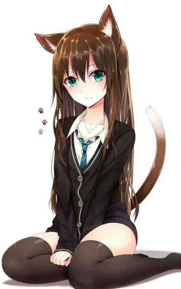 Neko O Maid •anime• Amino