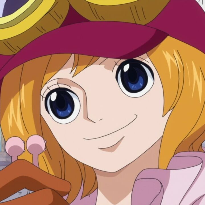 Quien sera el proximo Mugiwara ? | •Anime• Amino Quien sera el proximo Mugiwara ? | •Anime• Amino
