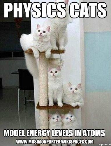 Cat Science Memes Science Amino Cat Science Memes Science Amino