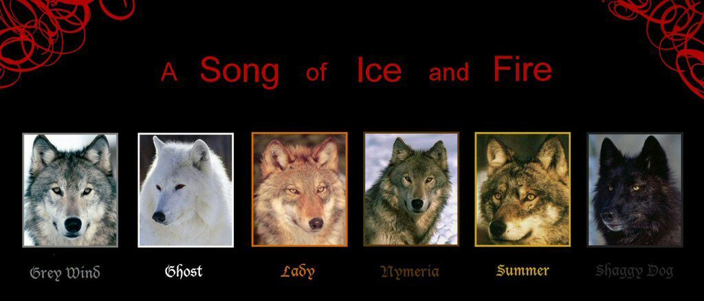 Stark Direwolves Told Us Everything Thrones Amino stark-direwolves-told-us-everything-thrones-amino