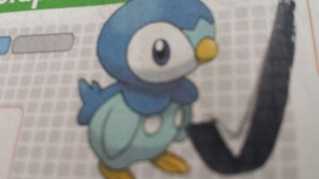 Top 5 WORST Starter Pokemon Pok mon Amino top-5-worst-starter-pokemon-pok-mon-amino