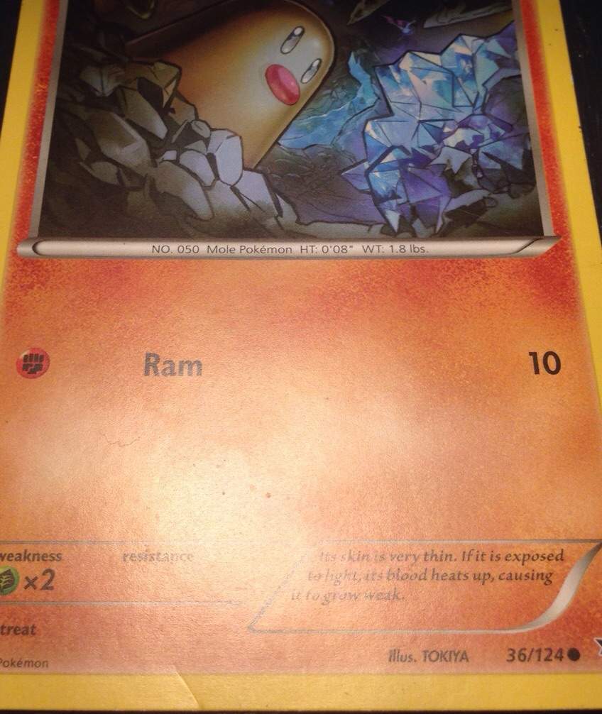 who-s-that-pokemon-pok-mon-amino