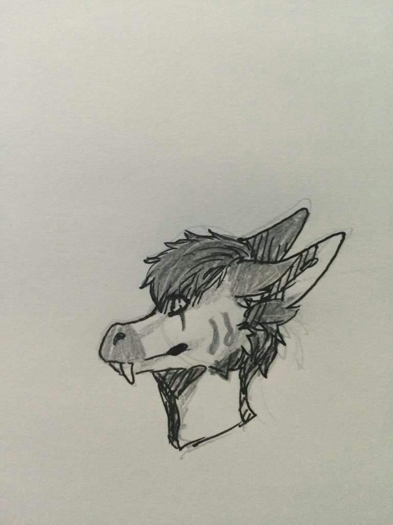 Kyri Dragonfox Furry Amino