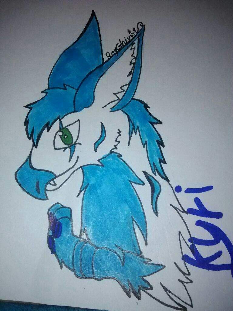 Kyri Dragonfox Furry Amino