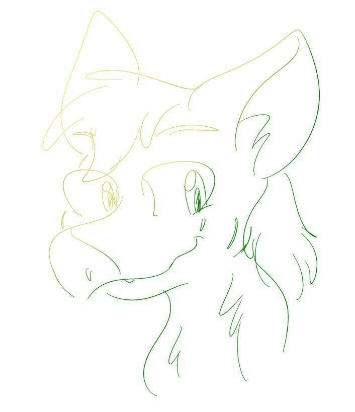Kyri Dragonfox Furry Amino