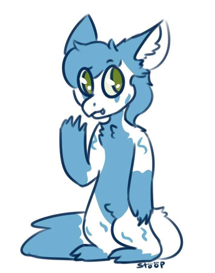 Kyri Dragonfox Furry Amino