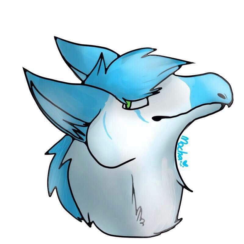 Kyri Dragonfox Furry Amino