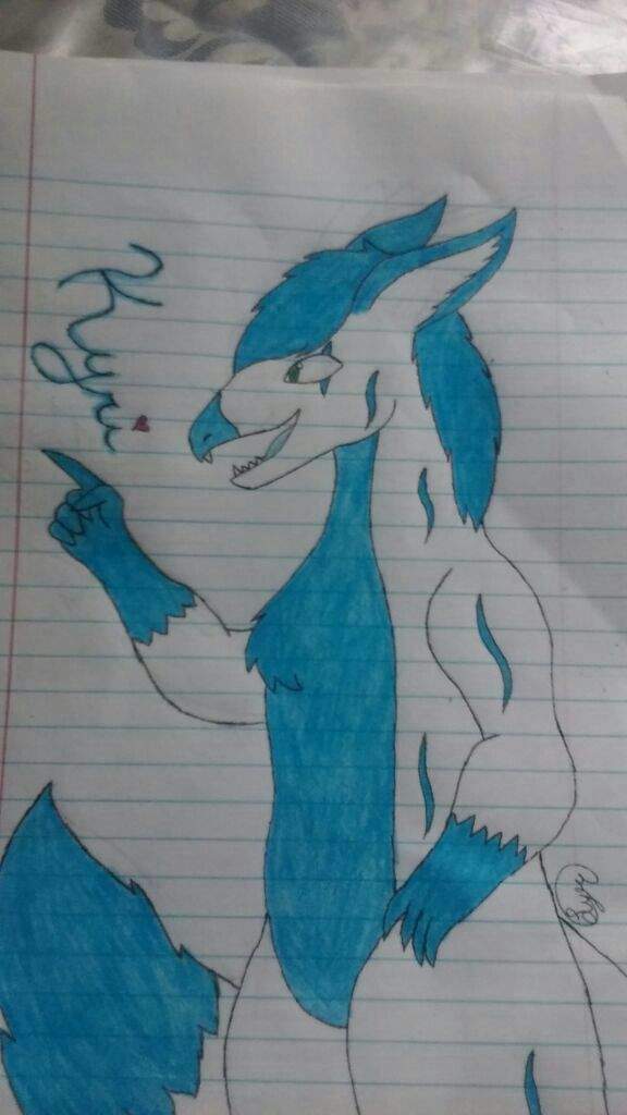Kyri Dragonfox Furry Amino