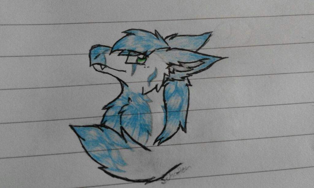 Kyri Dragonfox Furry Amino