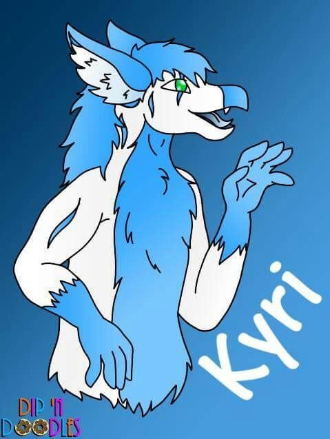 Kyri Dragonfox Furry Amino