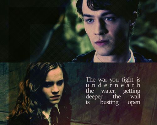 Tom Riddle And Hermione Granger Harry Potter Amino