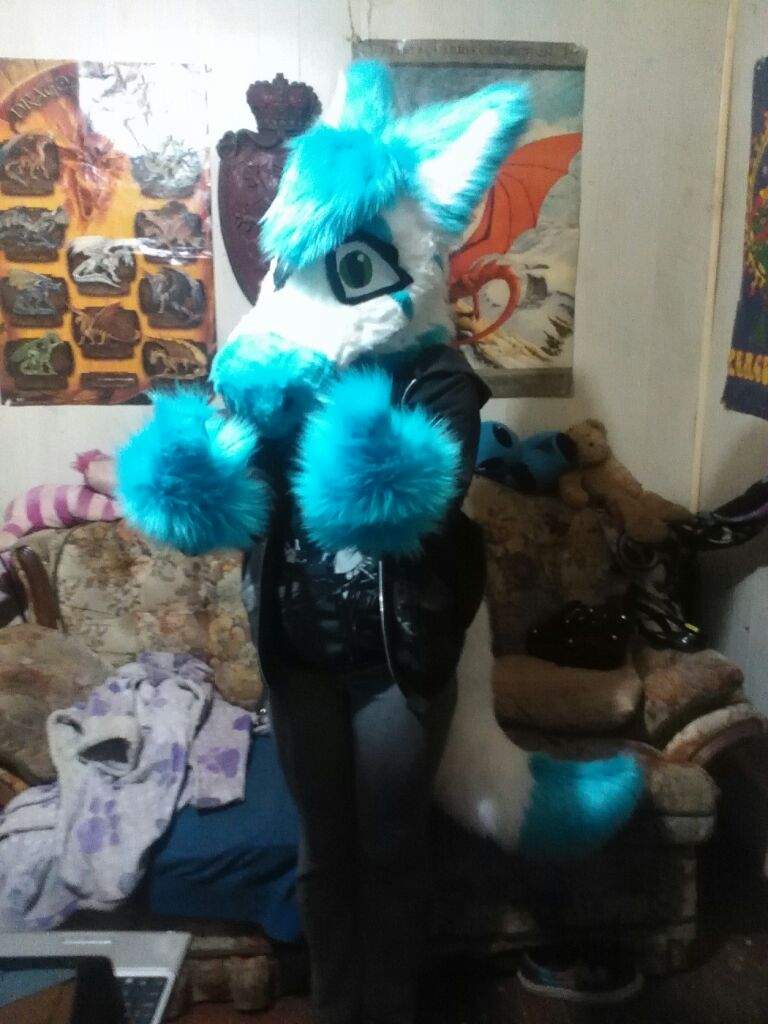 Kyri Dragonfox Furry Amino