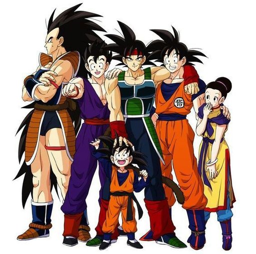Image Hinh Anh Anime Bardock Raditz Goku Gohan Goten Và Chi Chi Dragonballz Amino