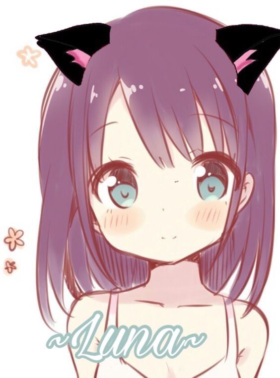 Kawaii Cat Maid Cafe | ☆Aphmau Lovers Amino☆ Amino Kawaii Cat Maid Cafe | ☆Aphmau Lovers Amino☆ Amino