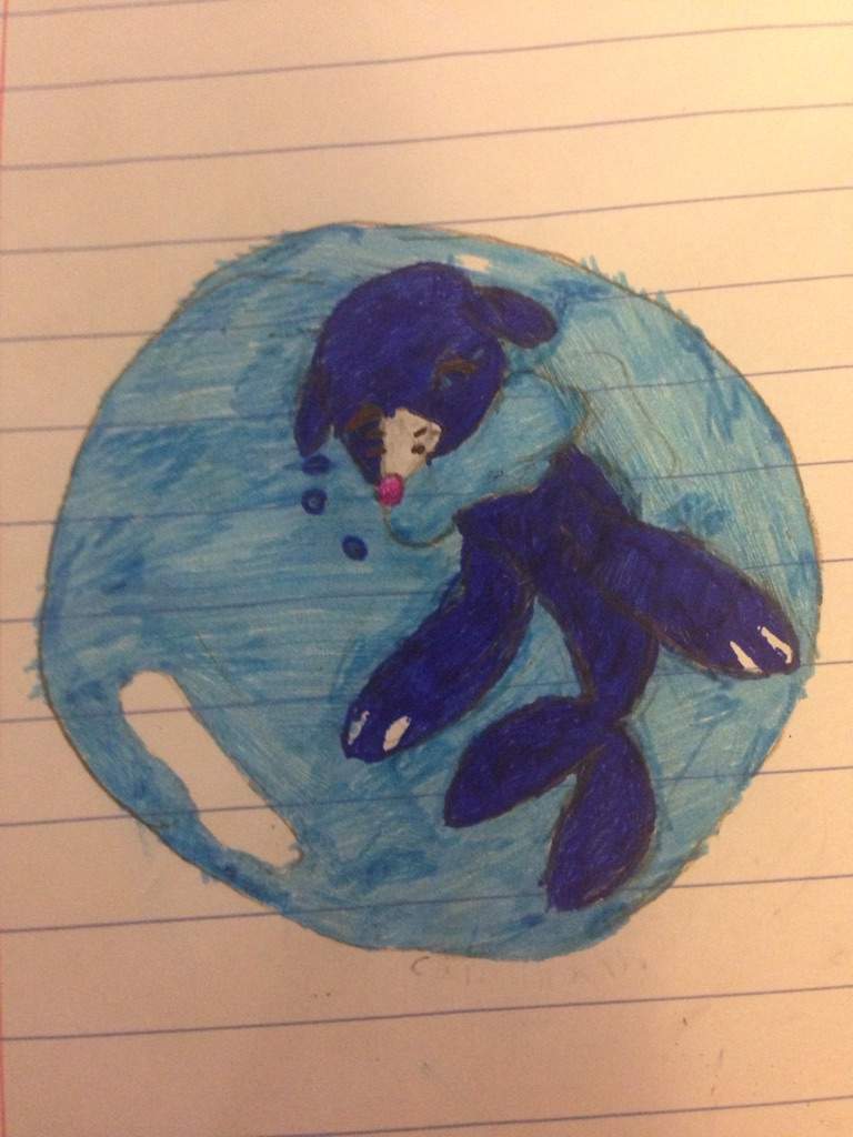 Popplio A Bubble Of Tears 💦 Pokémon Amino
