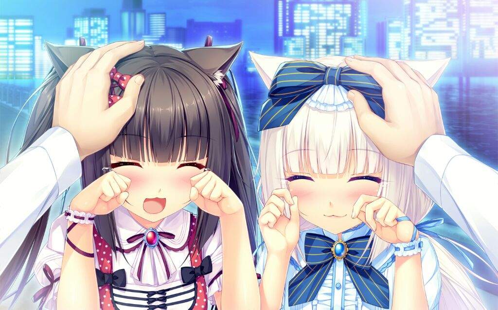 Nekopara Wiki Anime Amino