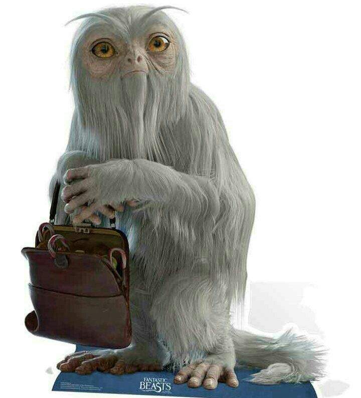 demiguise-wiki-harry-potter-espa-ol-amino