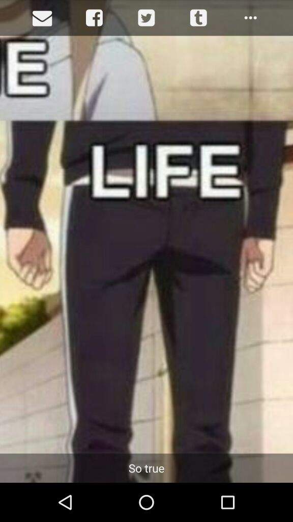An Otaku Life Otakuamino Amino