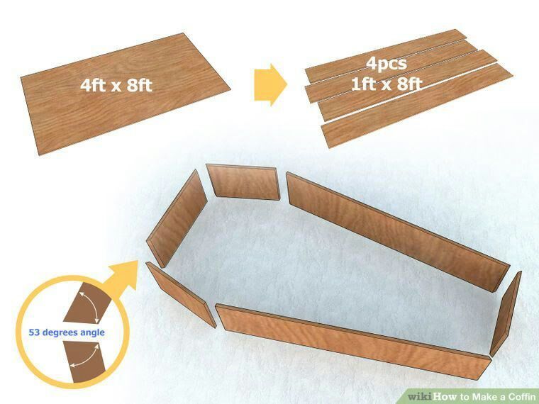 Saturday Night Projects The Coffin Bookshelf Horror Amino