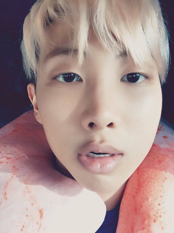 Selca Rm Wiki Armys Amino