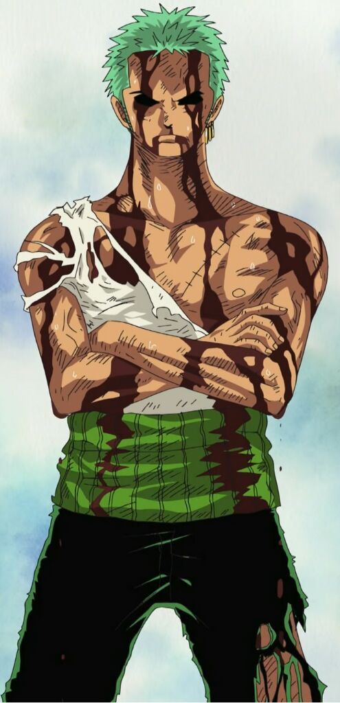 Teoria da zueira: Pq Zoro nao morreu, quando absorveu a dor do Luffy ... Teoria da zueira: Pq Zoro nao morreu, quando absorveu a dor do Luffy ...