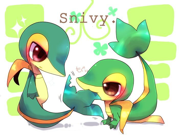 My Favorite Starter s From Each Region Pok mon Amino my-favorite-starter-s-from-each-region-pok-mon-amino