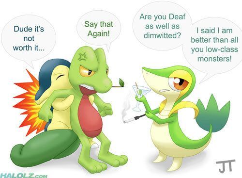 Treecko Meme Pokémon Amino