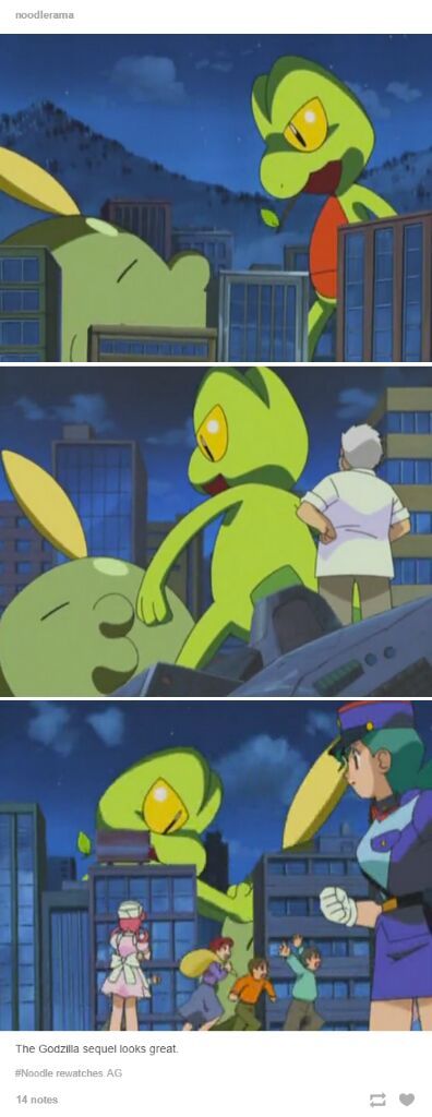 Treecko Meme Pokémon Amino