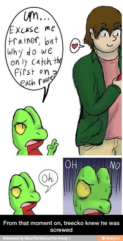 Treecko Meme Pokémon Amino