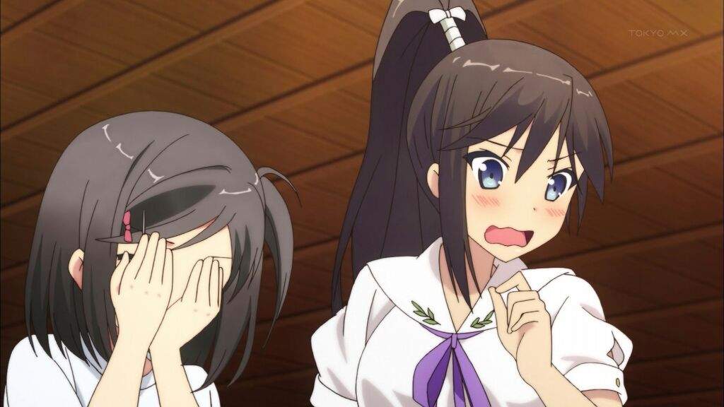 Tsukushi Tsutsukakushi Wiki Otanix Amino