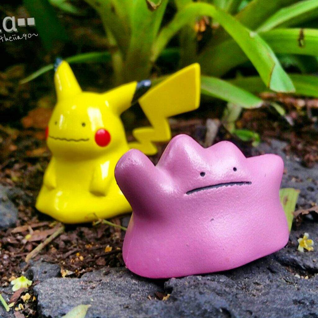 Dittochu Wiki •pokémon• En Español Amino