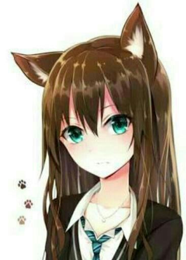 Saruby Menina Lobo Otanix Amino