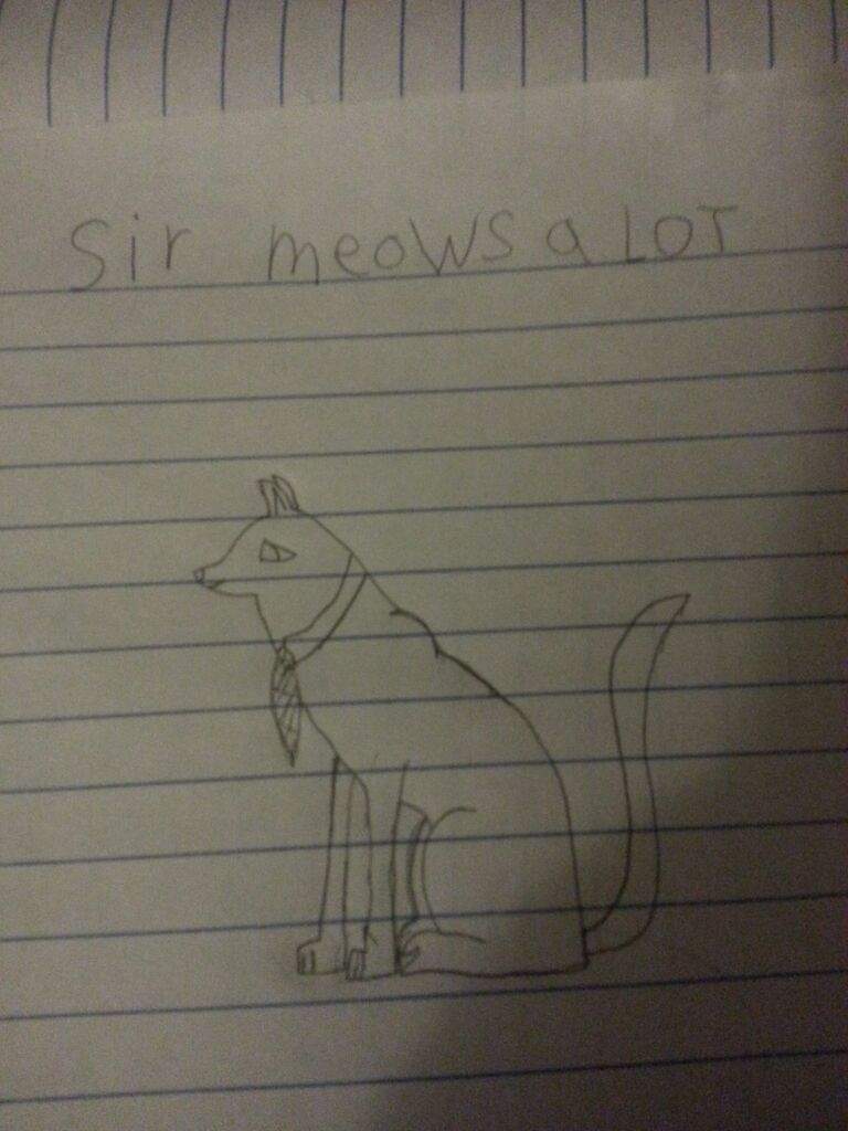 Sir meows a lot | Wiki | Denis Daily And The Gang Amino Sir meows a lot | Wiki | Denis Daily And The Gang Amino