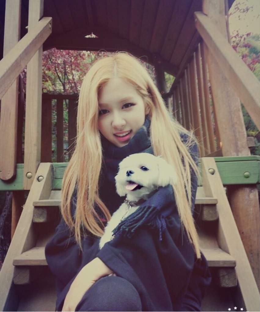 Rosé And Jisoo ️ ️ Blink 블링크 Amino